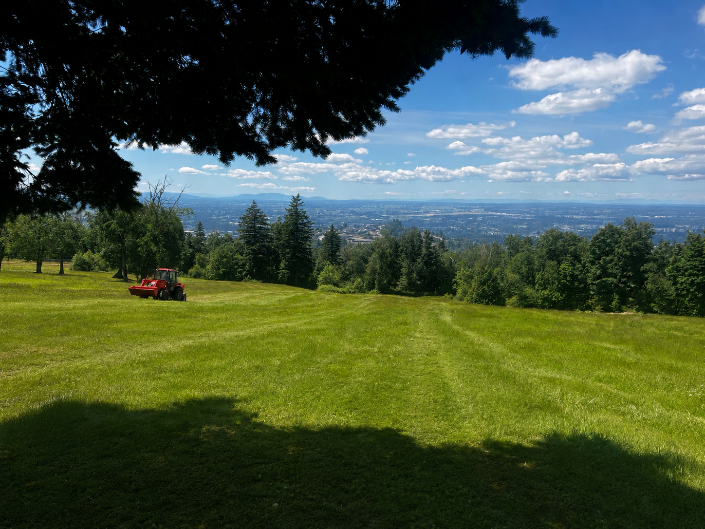 Fraser Valley Real Estate Market 2026: Best Places to Buy a Home in...