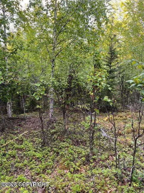 13957 W Aero LN, Big Lake, AK 99652 - Alaska MLS - MLS#26-458 - Amy...