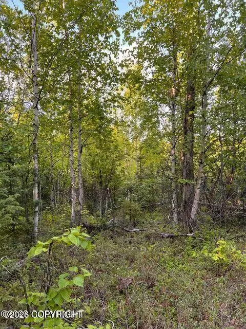 13957 W Aero LN, Big Lake, AK 99652 - Alaska MLS - MLS#26-458 - Amy...