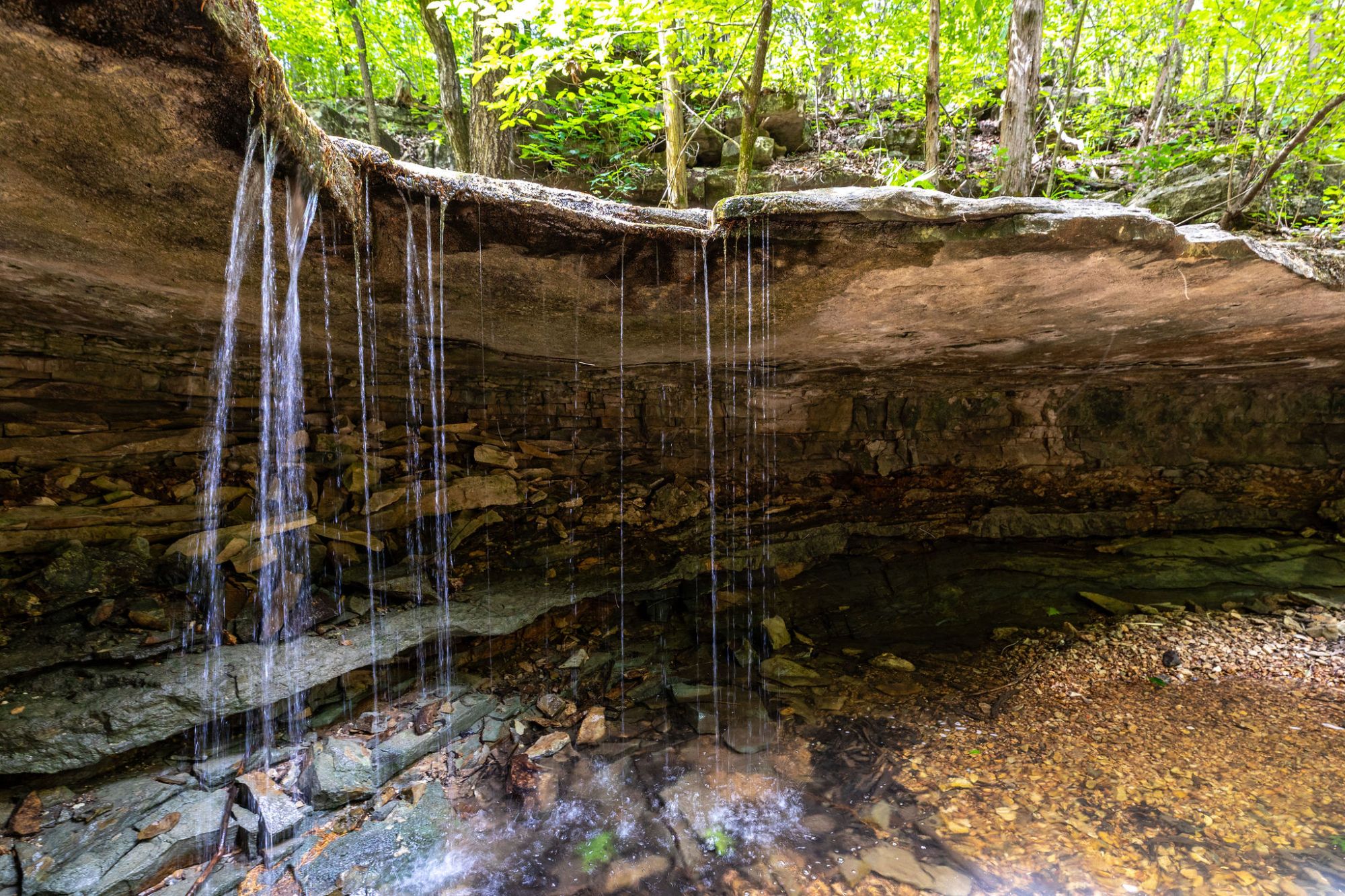 Reeds Spring - Homes for Sale - Carrie Ann Higgs - LPT Realty, LLC