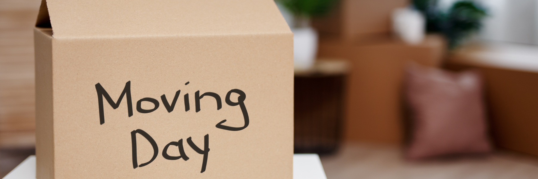 Top 10 Reasons Why Our Clients Are Moving - Engel & Völkers - Stacy...