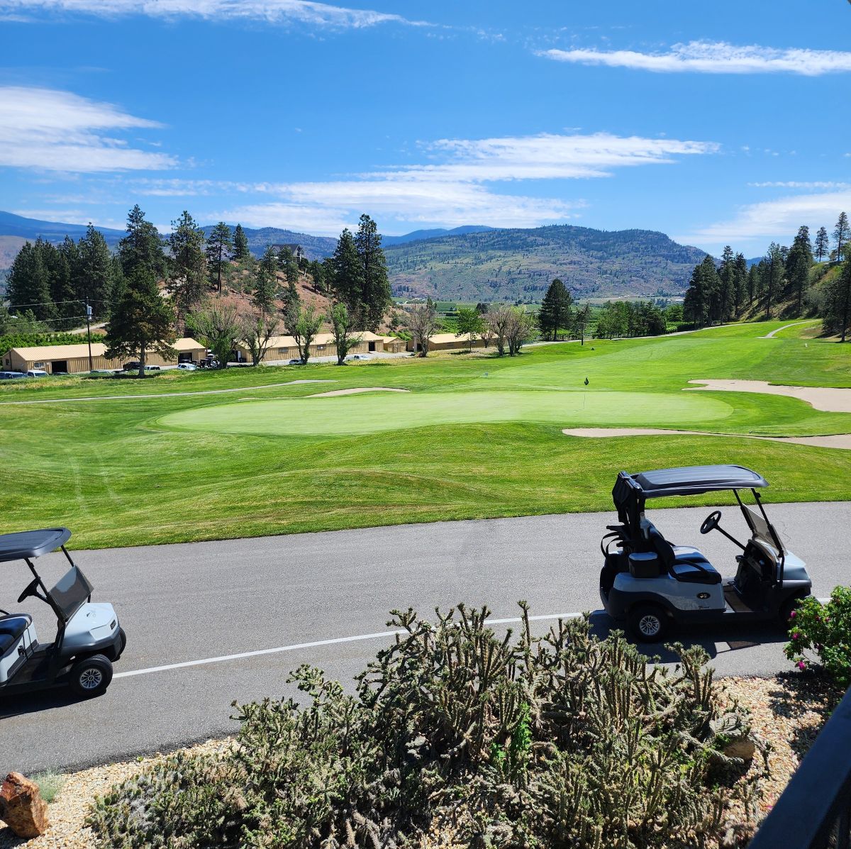 Oliver Detached Homes Market Snapshot – June 2025 - Jeffrey Sefton ...