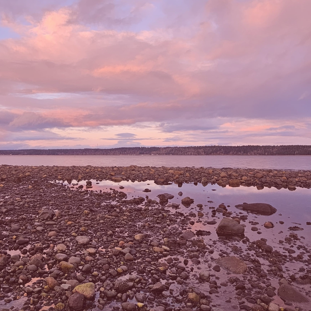 Downsizing on Vancouver Island | Campbell River & Comox Valley Rea...