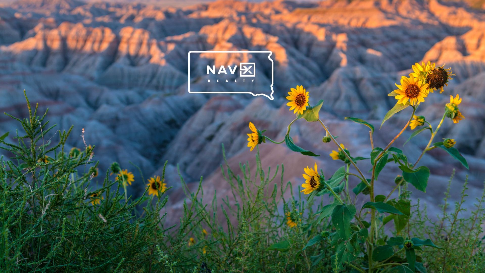 Real Estate - NavX Realty - NavX Realty